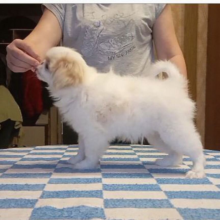 Мальчик