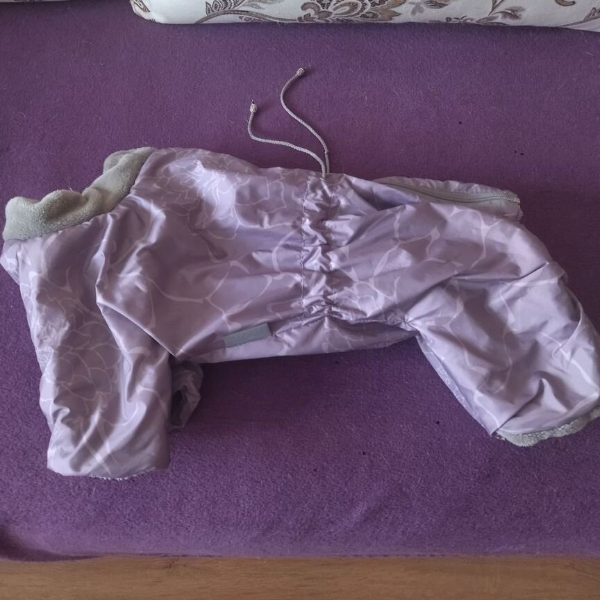 Одежда для собак