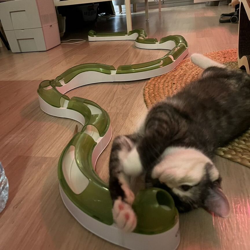 Catit Senses 2.0 Трек игровой большой