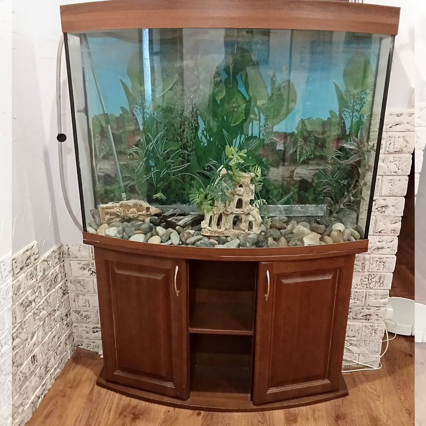 Аквариум с тумбой 200л Воронеж