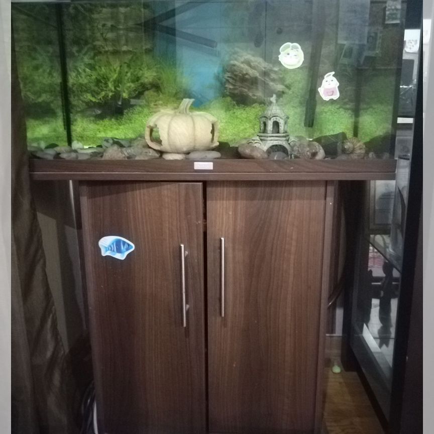 Аквариум с тумбой бу