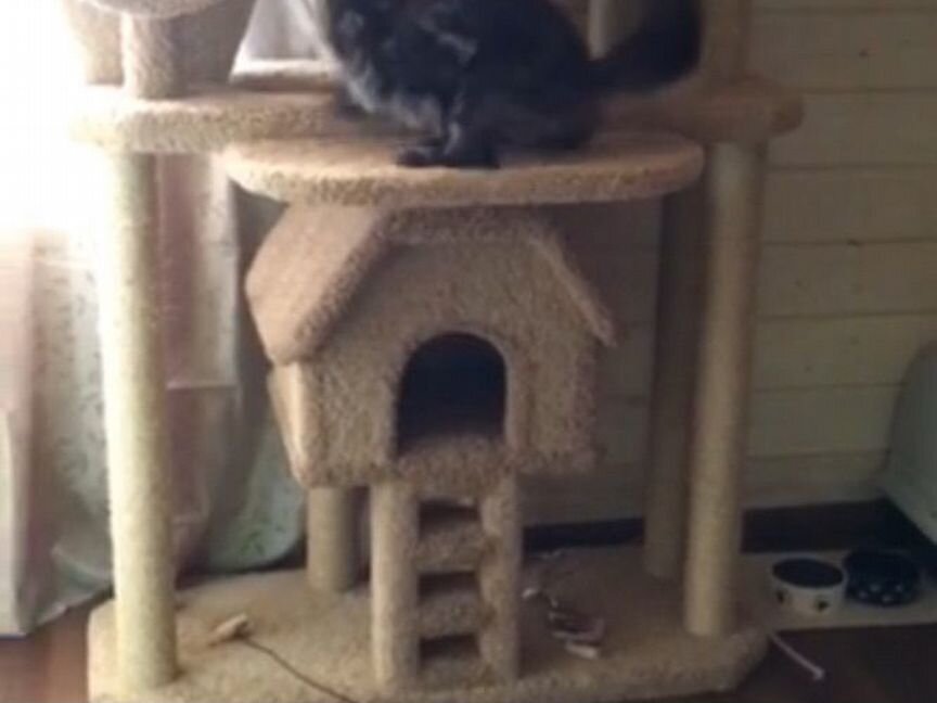 Дом для кота или кошки