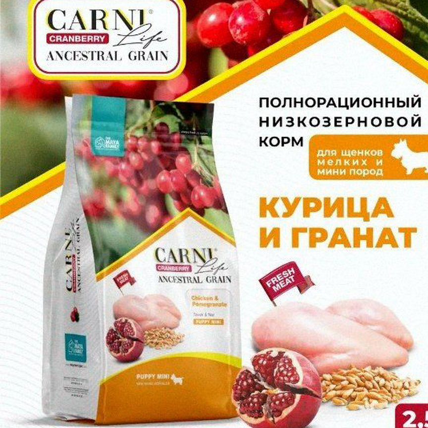 Сухой корм для собак
