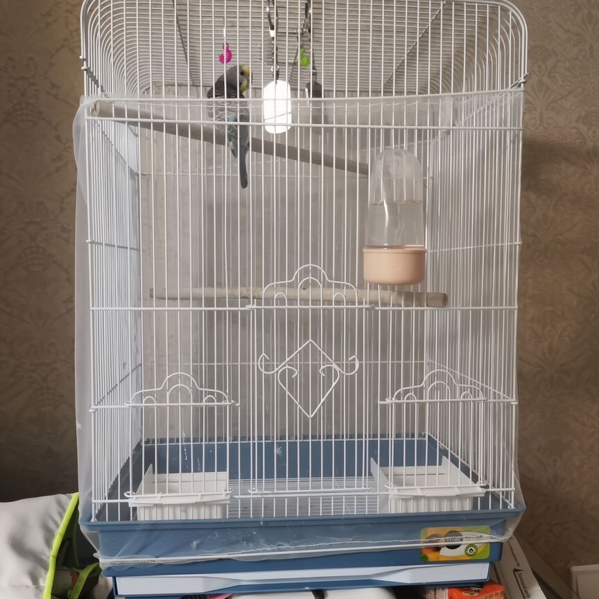 Продается клетка с волнистым попугайчиком(самкой)