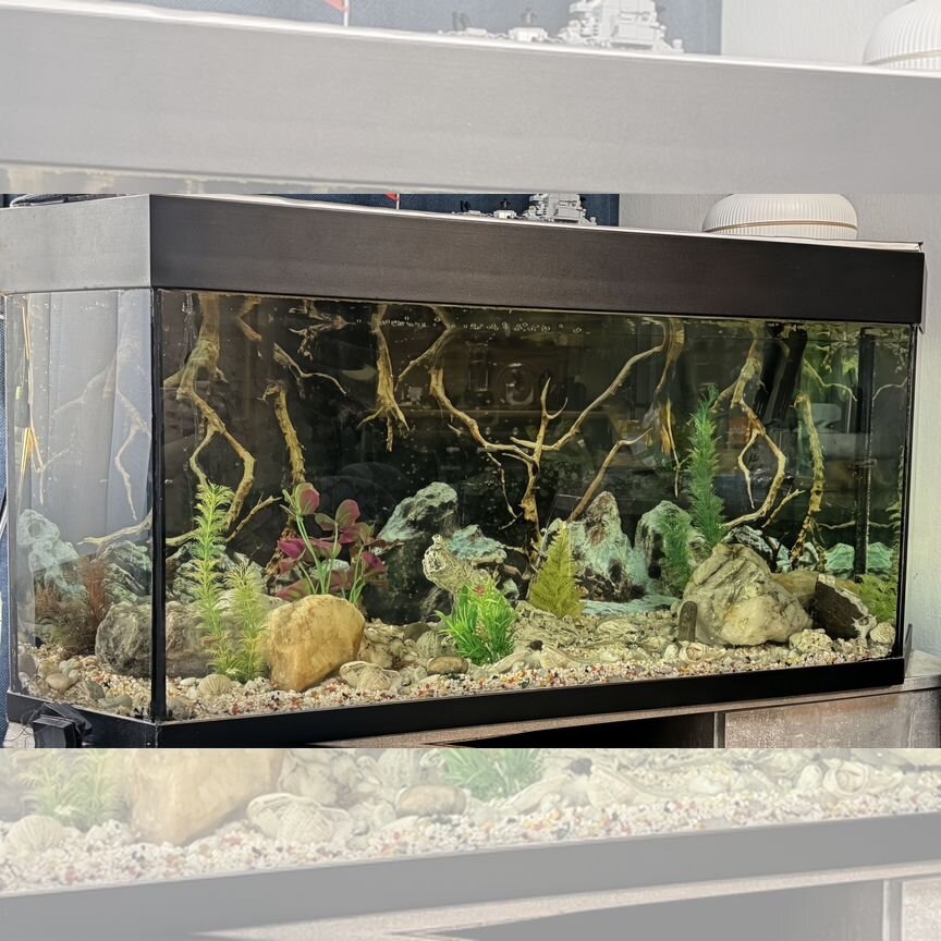 Аквариум с рыбками