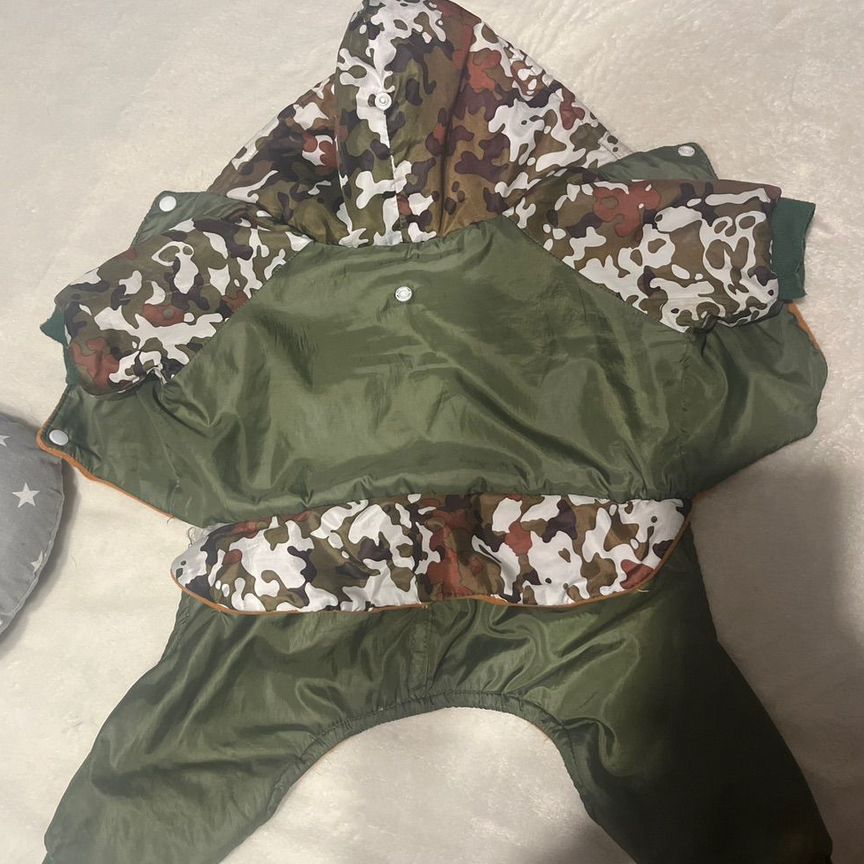 Одежда для собак