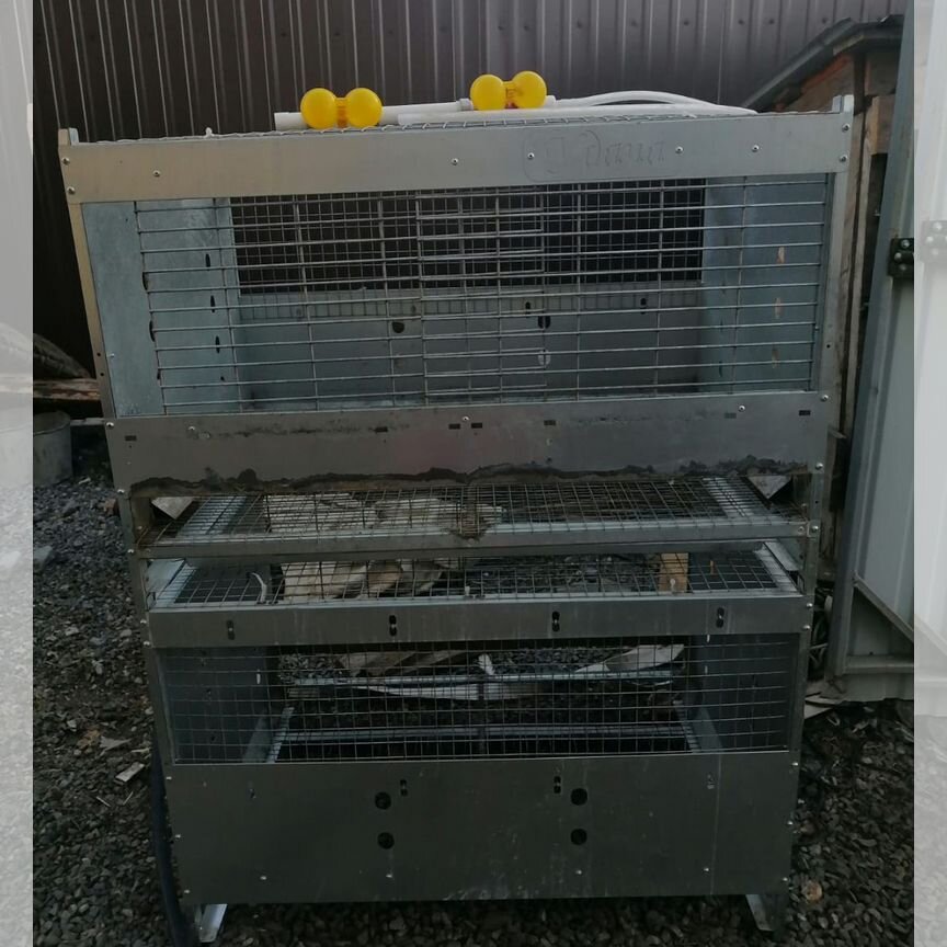 Клетки для кур бройлеров