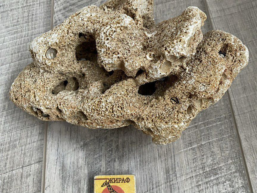 Сухой рифовый камень