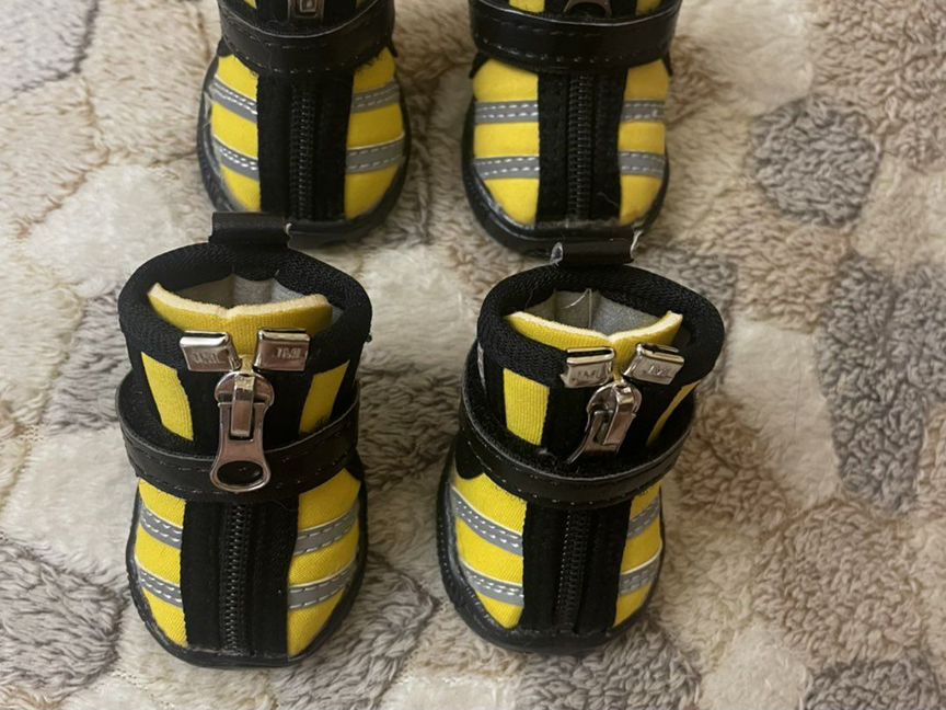 Ботинки для маленьких собак