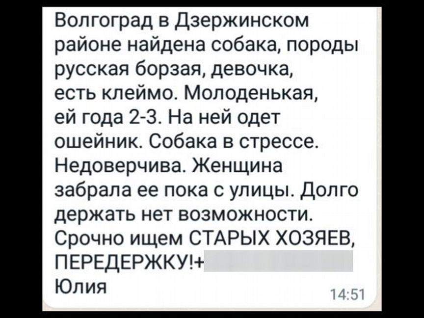 Нашли собачку