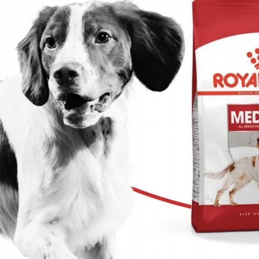 Royal Canin Medium Adult для средних пород, 3 кг