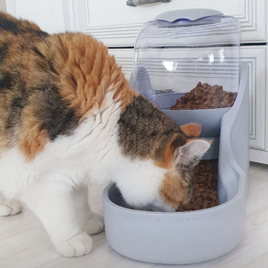 Новая кормушка для кота
