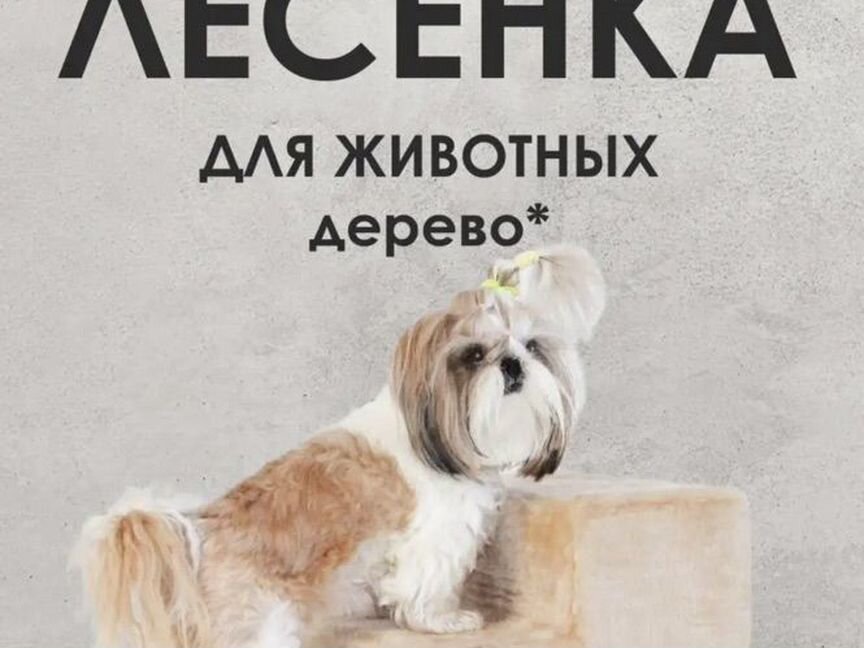 Лесенка для животных