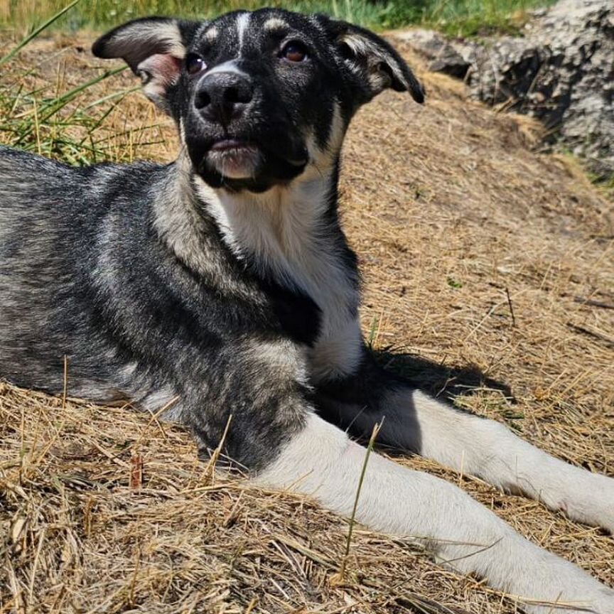 Девочка подросток Хася