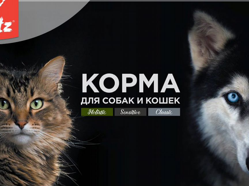 Корм для кошек и собак Blitz