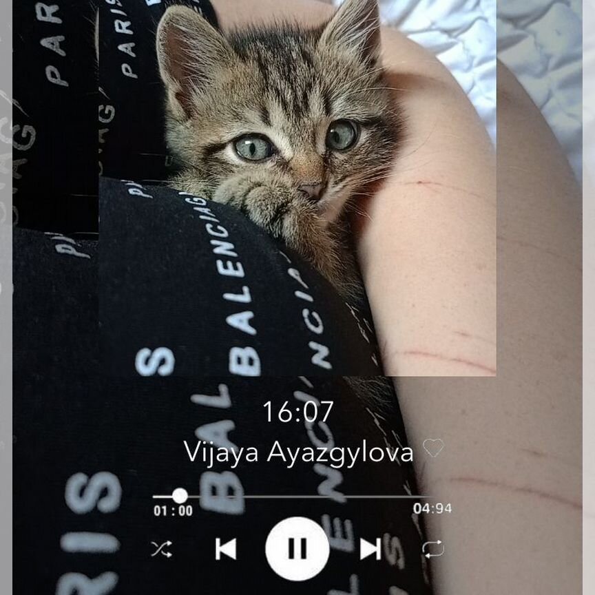 Отдам котёнка бенгал 500р