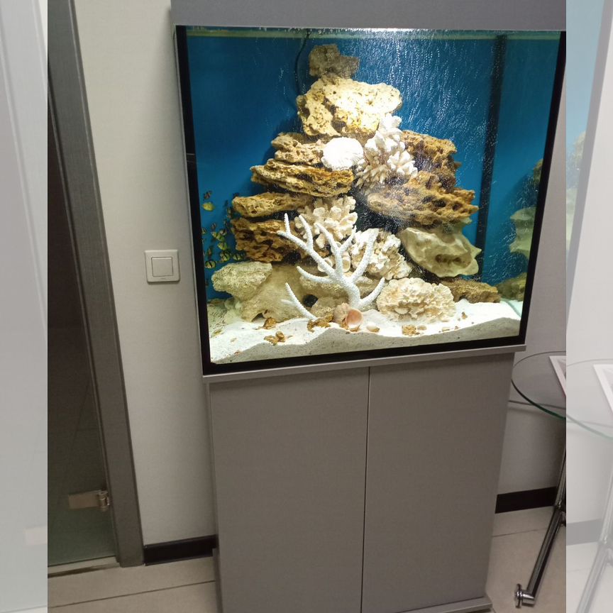 Продам видовый аквариум