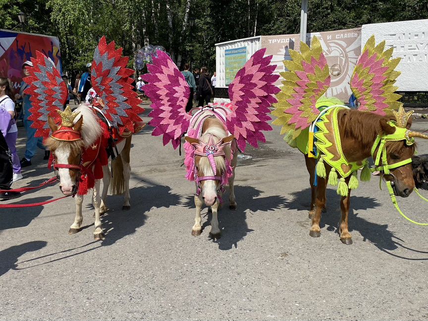 Крылья на пони и лошадь, на заказ или готовые