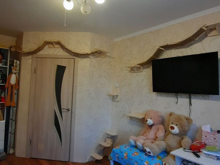 Комплекс для кошек