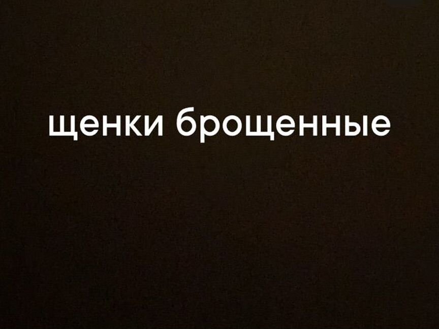 Щенки