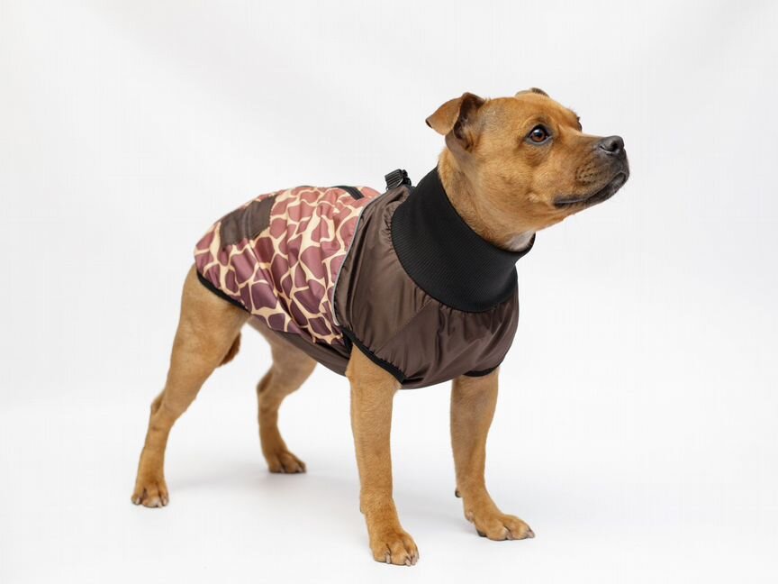 Жилетка для собак