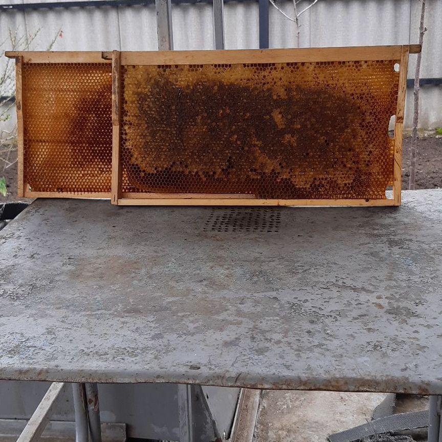 Рамки суш и медовые