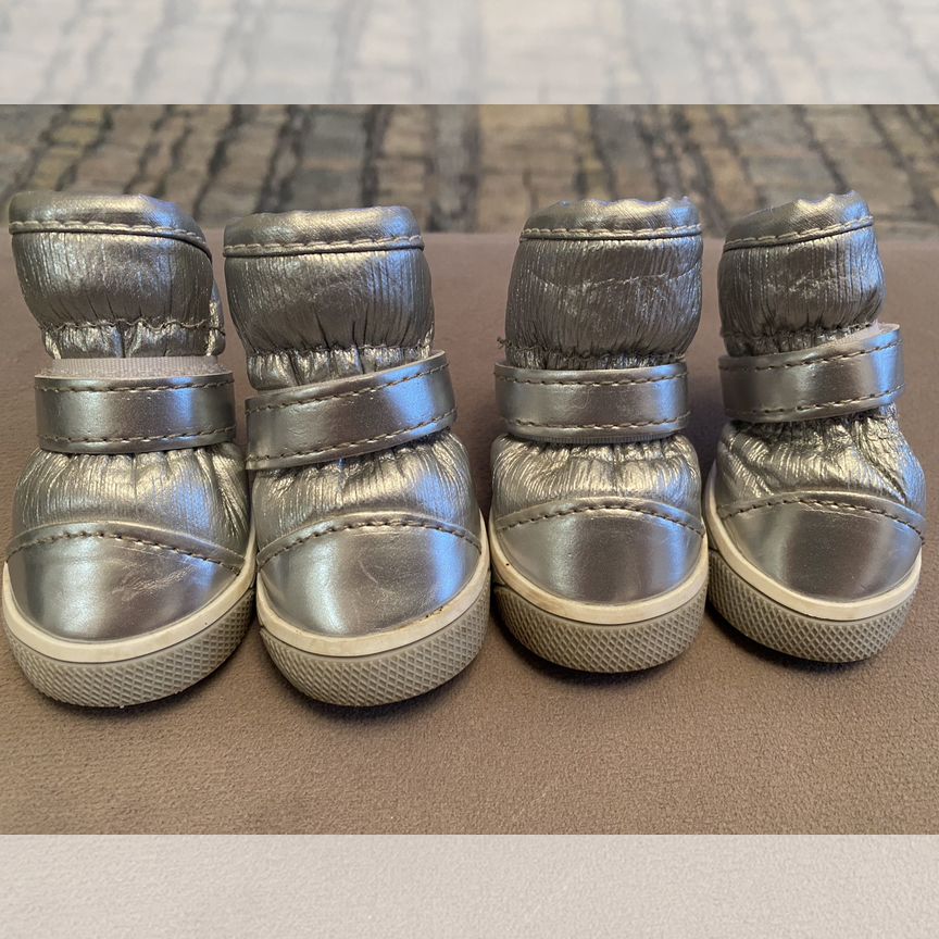 Обувь для маленьких собак размер 3