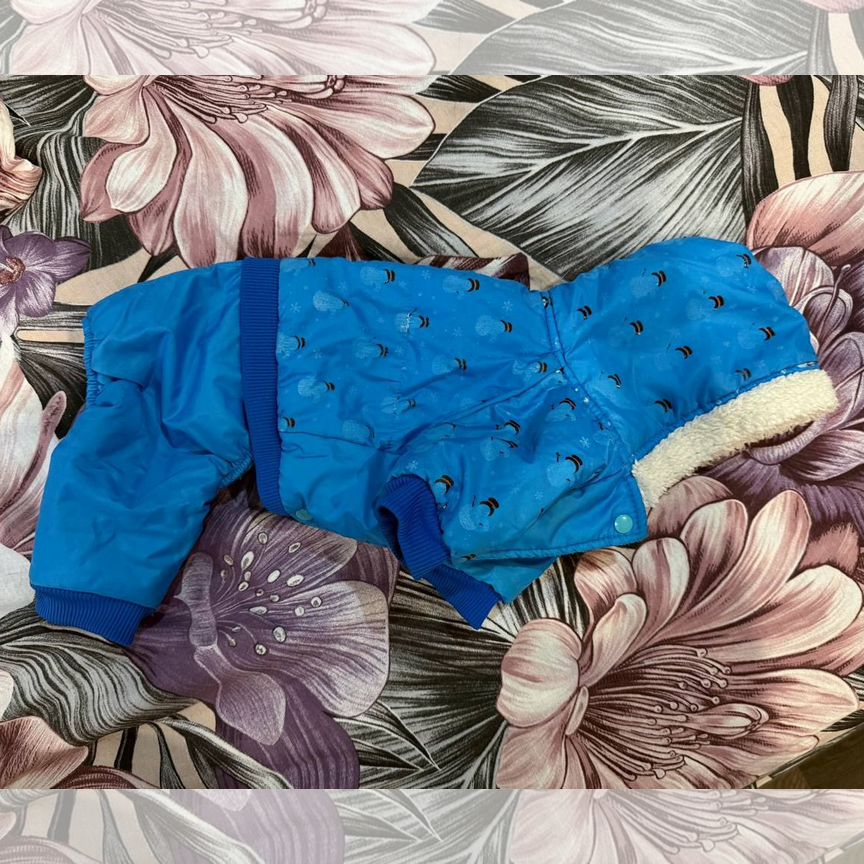 Одежда для собак