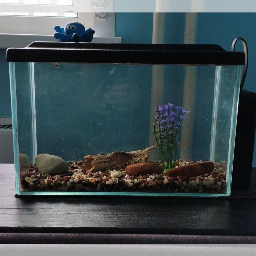 Готовый аквариум 10л