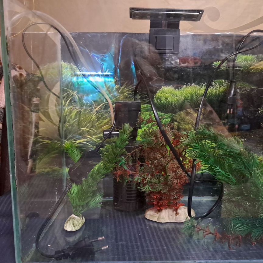 Аквариум с аксессуарами