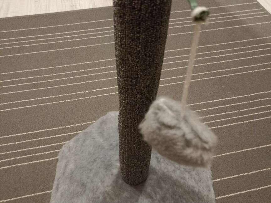 Когтеточка для кошки, новая