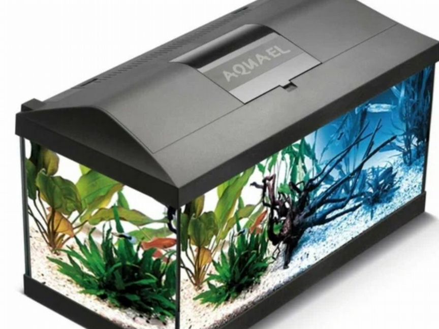 Аквариум