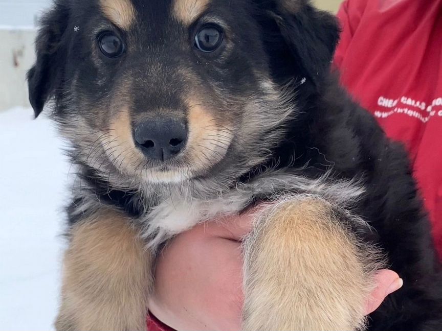 А кто тут у нас такой милый