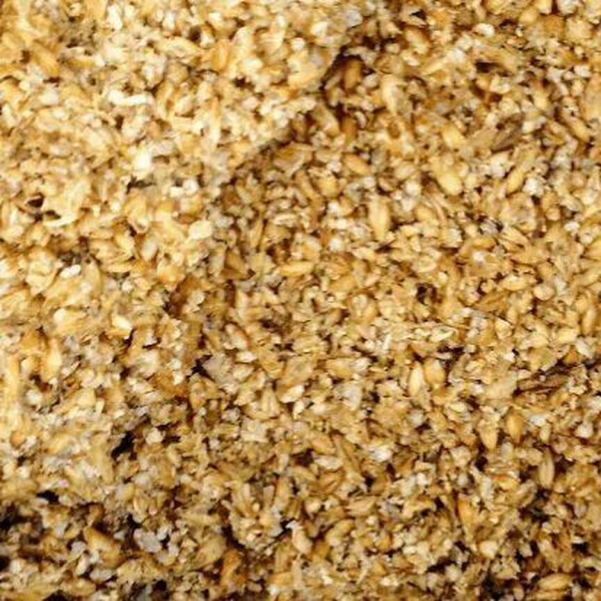 Пивная дробина.(корм для скота)бесплатно