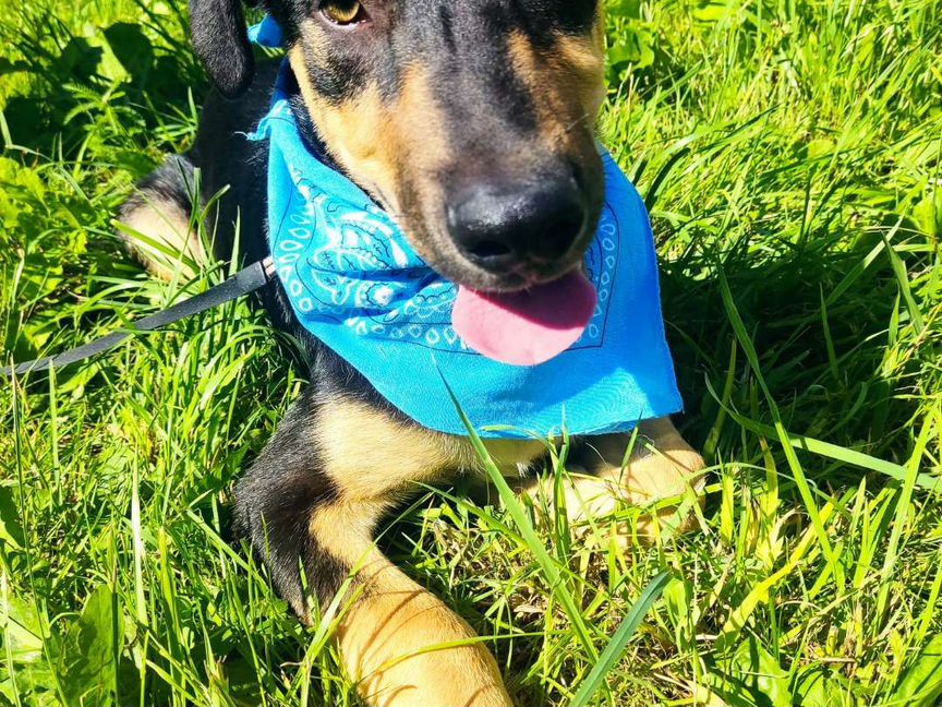 Мальчик 4,5 мес добряк