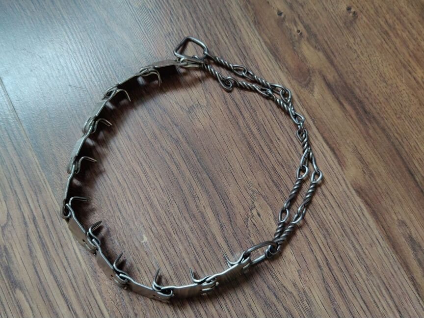 Строгий ошейник