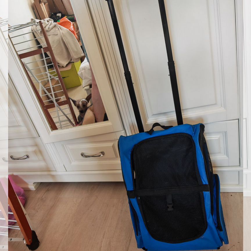 Сумка-переноска ferplast на колесах для животных