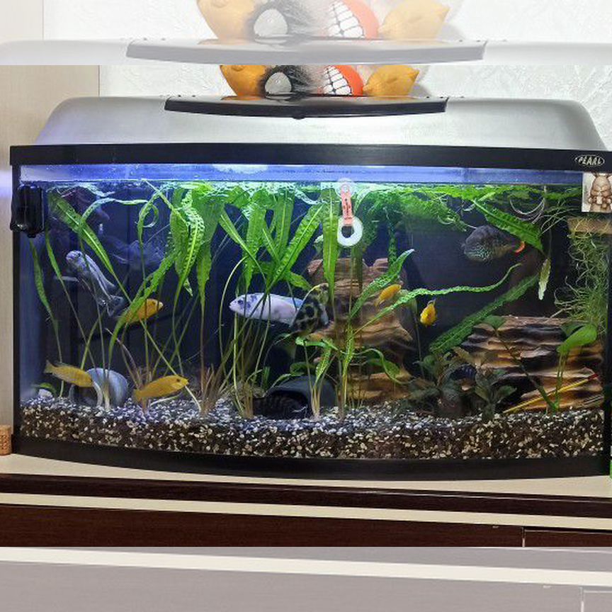 Аквариумы 100 и 150 литров