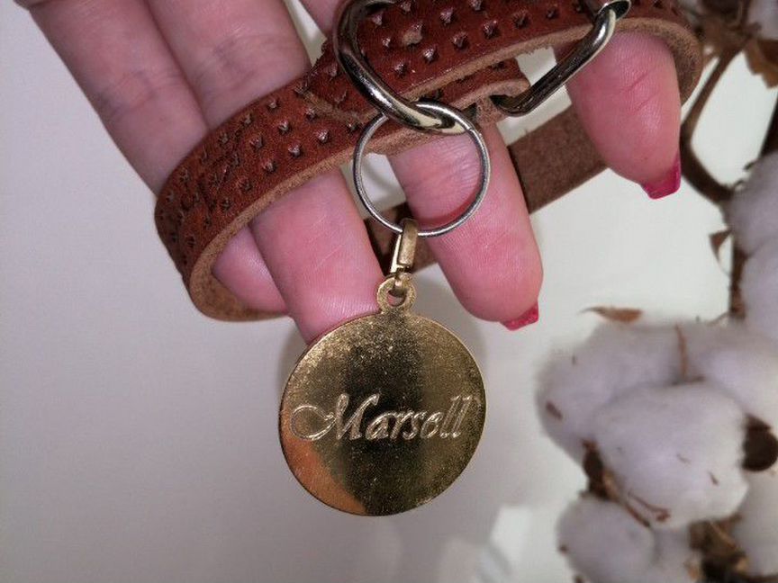 Кошачий ошейник +медальон