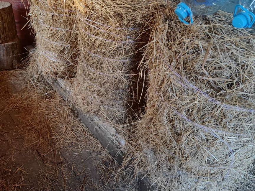 Сено солома в тюках