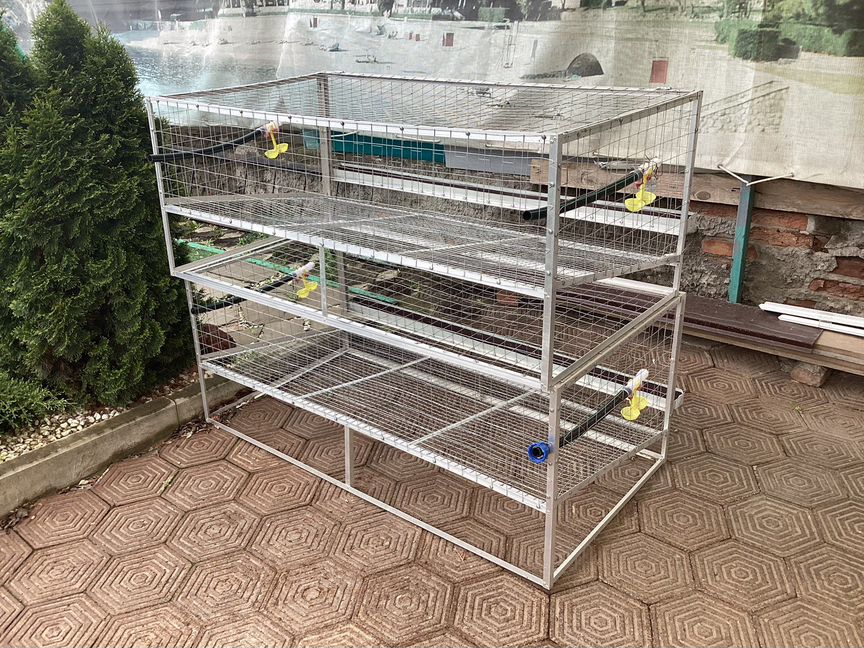 Клетки для кур