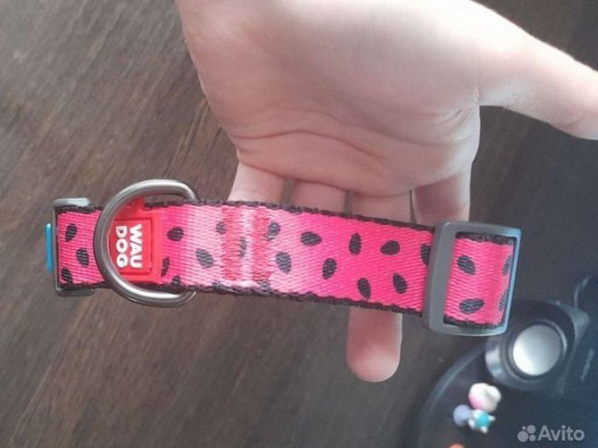 Амуниция для собак Waudog