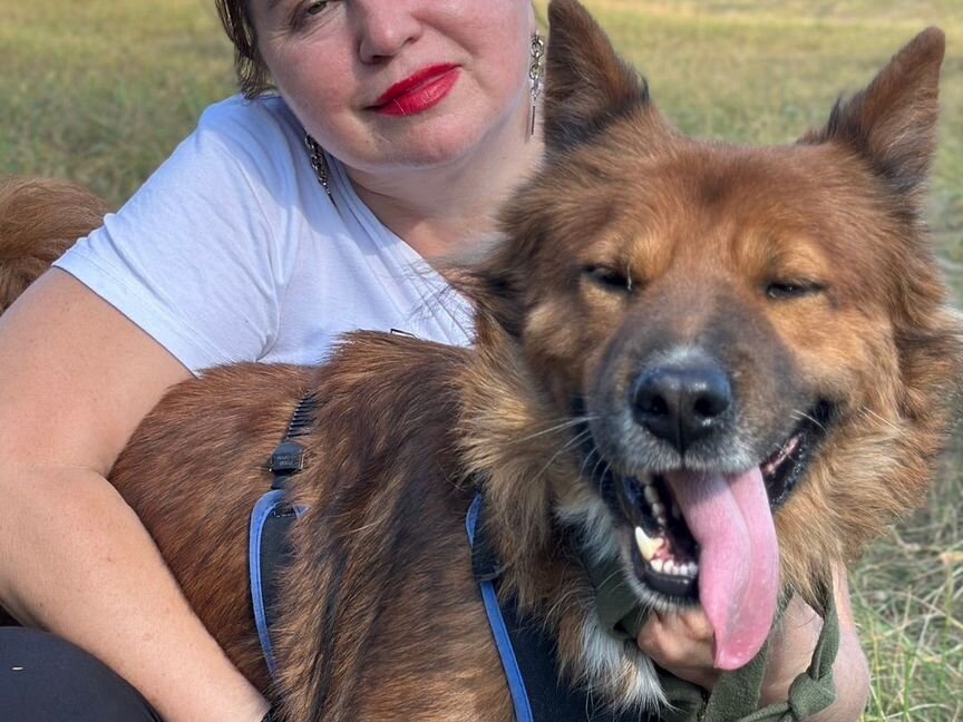 Собака в добрые руки