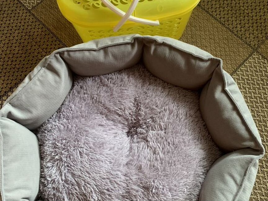 Переноска-контейнер для животных; лежанка