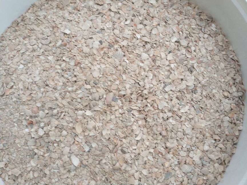 Ракушка для курей