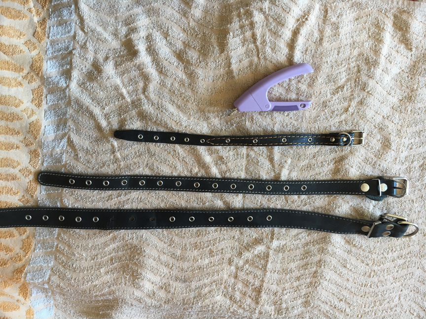 3 Ошейника, миска и когтерезка