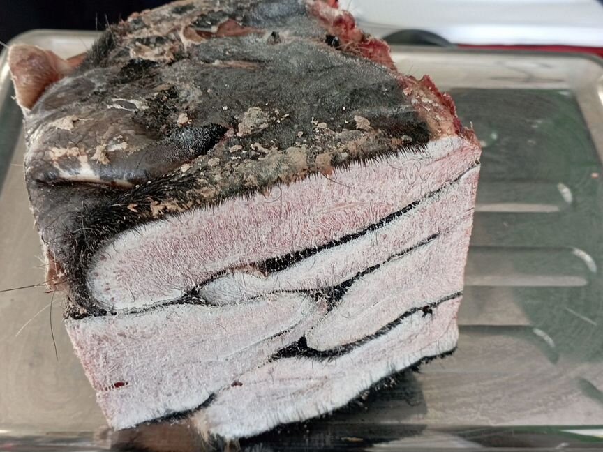 Корм/ Говяжий нос для собак