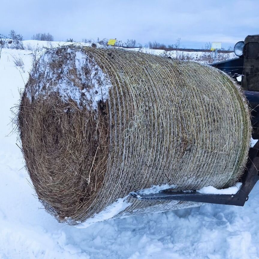 Сено в рулонах