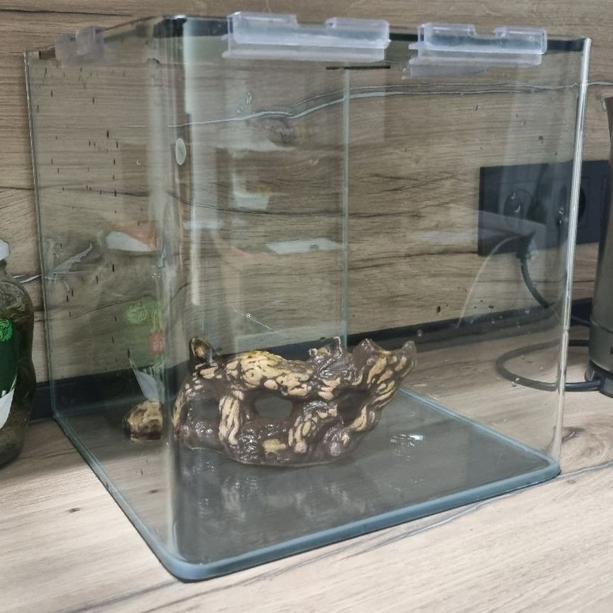 Аквариум с рыбками