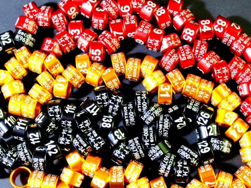 Кольца именные для голубей